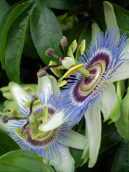 유토이미지 | 36581-0001471