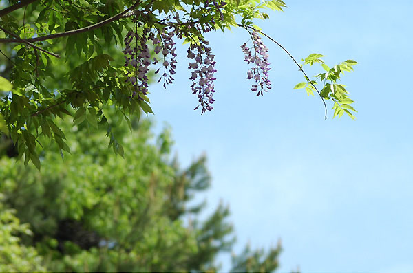 유토이미지 | 36581-0001835