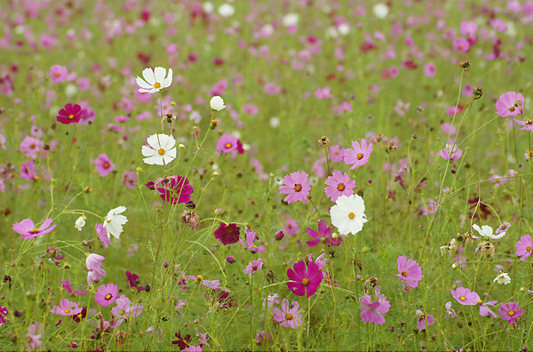 유토이미지 | 36581-0002261