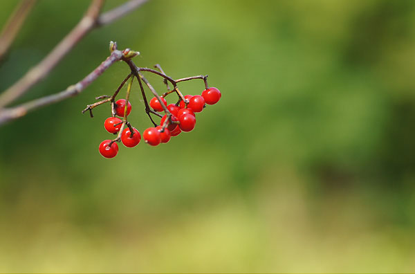 유토이미지 | 36581-0002317
