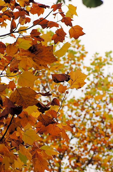 유토이미지 | 36581-0002436