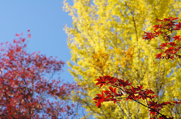 유토이미지 | 36581-0002447