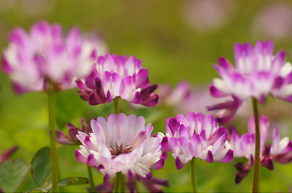 유토이미지 | 36581-0002756