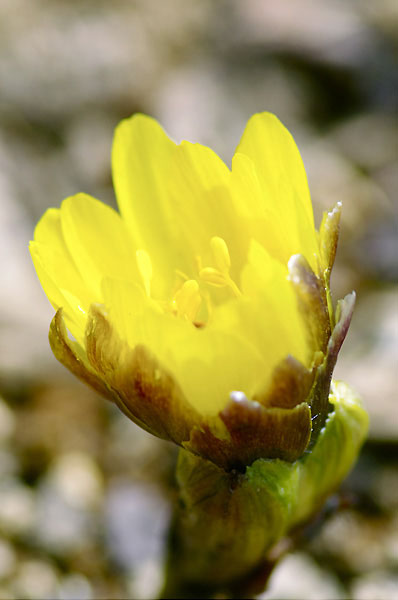 유토이미지 | 36615-0000016