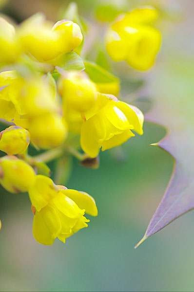 유토이미지 | 36615-0000033