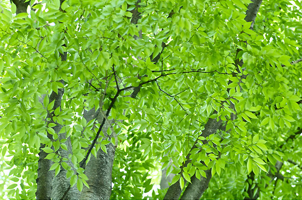 유토이미지 | 상세페이지 | 베이직샵 | 16125670 | 36615-0000140