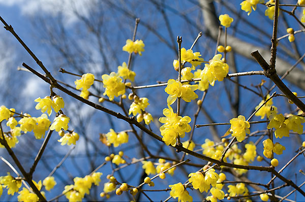 36615-0000150 | 유토이미지 | 상세페이지 | 베이직샵 | 16125720
