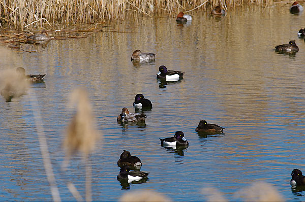 유토이미지 | 36615-0000243