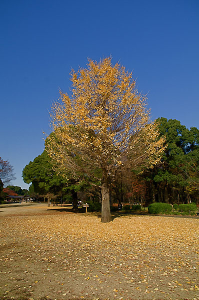 유토이미지 | 36615-0000117