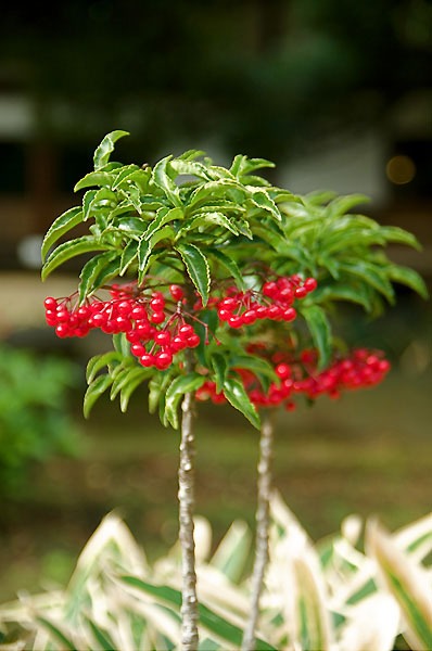 유토이미지 | 36615-0000353