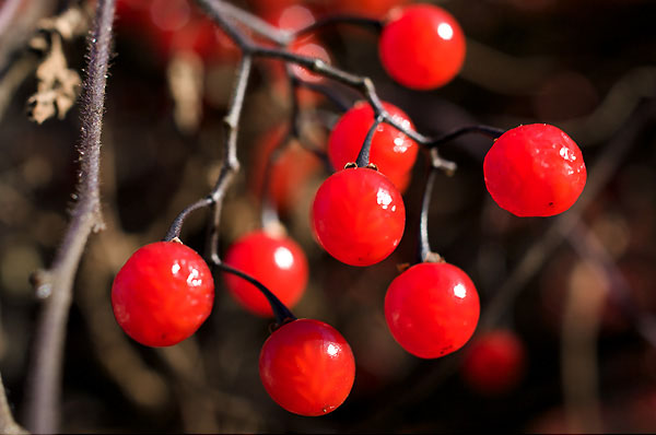 유토이미지 | 36615-0000357