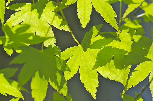 유토이미지 | 36615-0000540