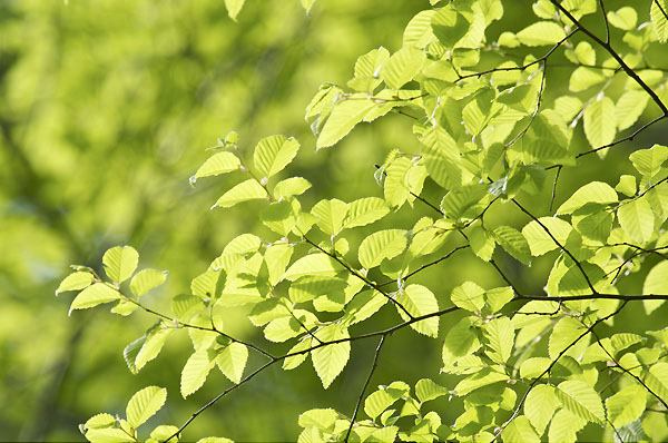 유토이미지 | 36615-0000565