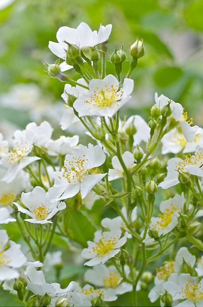 유토이미지 | 36615-0000683