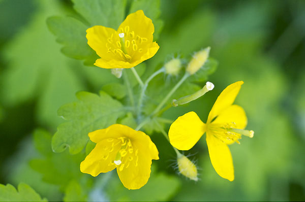 유토이미지 | 36615-0000749