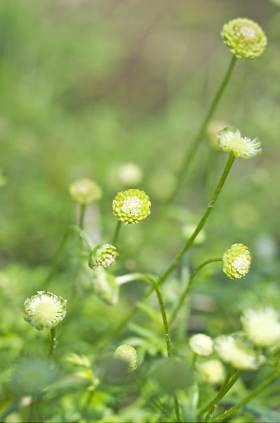 유토이미지 | 36615-0000756
