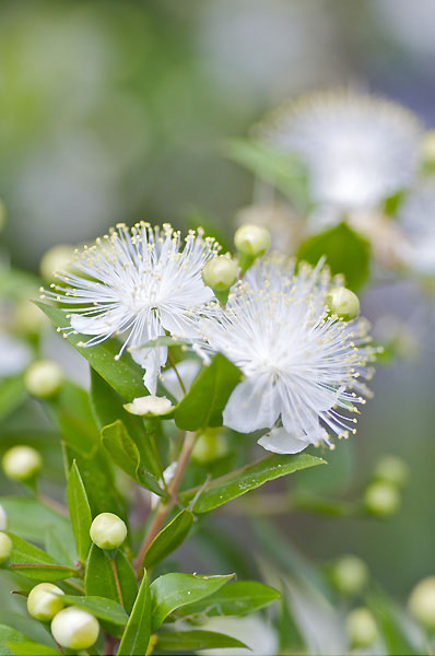 유토이미지 | 36615-0000855