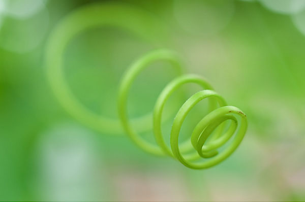 유토이미지 | 36615-0001233