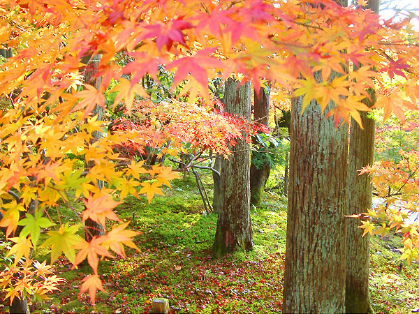 유토이미지 | 36837-0000024