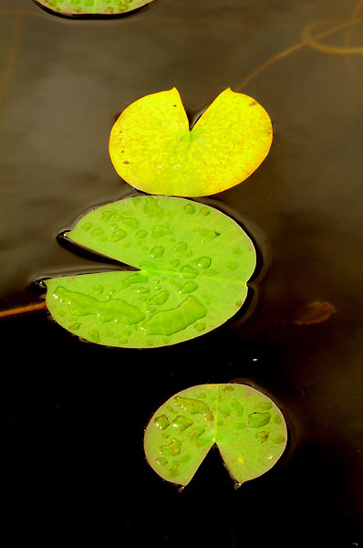 유토이미지 | 36873-0000032