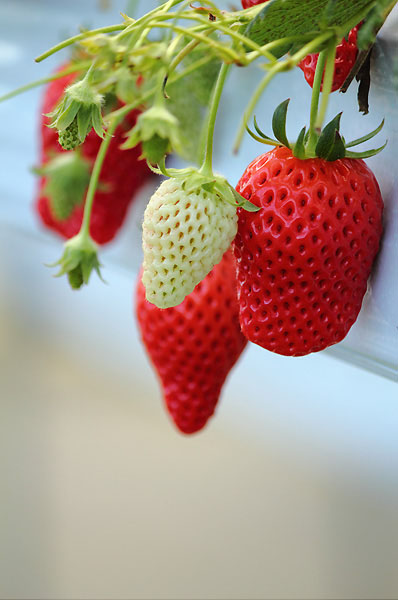 유토이미지 | 36873-0000084