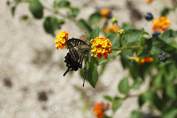 유토이미지 | 36921-0000046