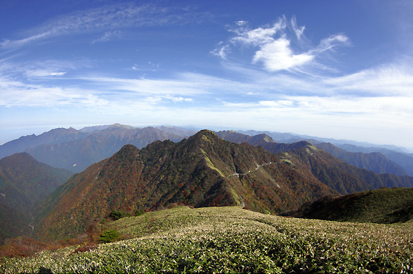 유토이미지 | 36921-0000111