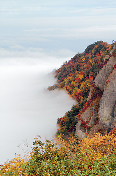 유토이미지 | 36921-0000161