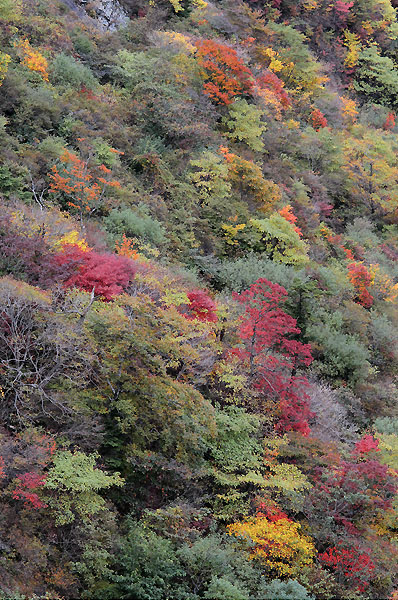 유토이미지 | 36921-0000182