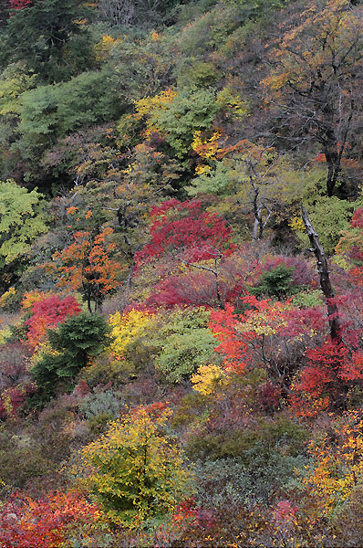 유토이미지 | 36921-0000183