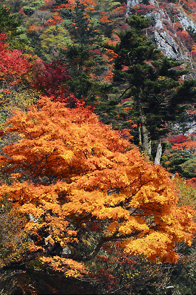 유토이미지 | 36921-0000190