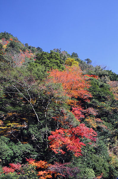 유토이미지 | 36921-0000193