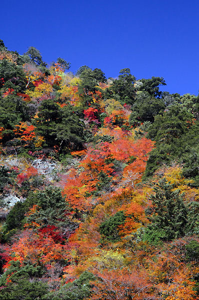 유토이미지 | 36921-0000199