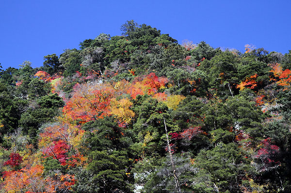 유토이미지 | 36921-0000204