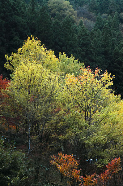 유토이미지 | 36921-0000211