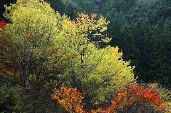 유토이미지 | 36921-0000212