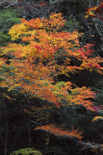 유토이미지 | 36921-0000220