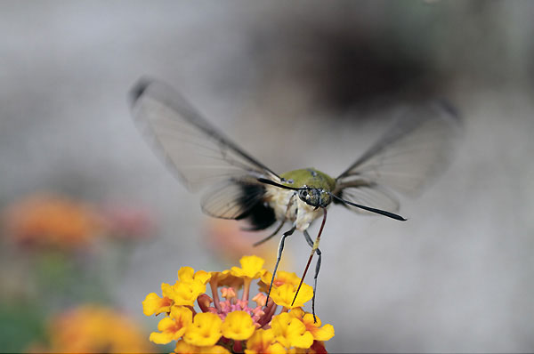 유토이미지 | 36921-0000385