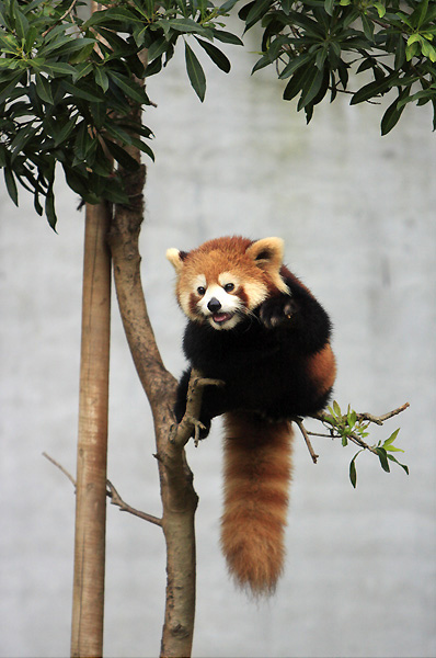 유토이미지 | 36921-0000475