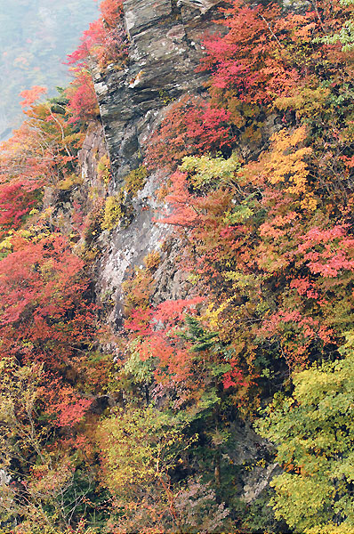 유토이미지 | 36921-0000834