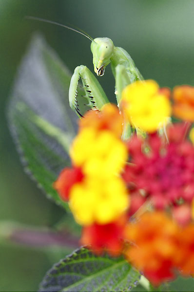 36921-0000868 | 유토이미지 | 상세페이지 | 베이직샵 | 16247018