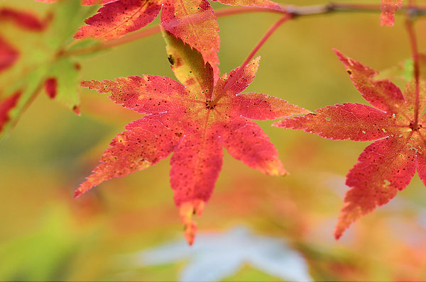 유토이미지 | 36921-0000902