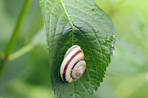 유토이미지 | 36921-0001208