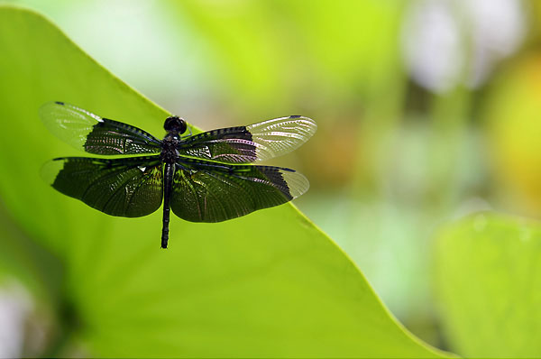 유토이미지 | 36921-0001328