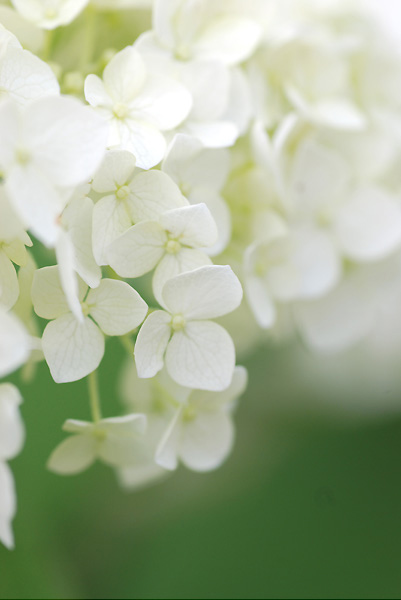 유토이미지 | 36926-0000048