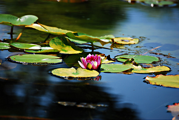 유토이미지 | 36926-0000060