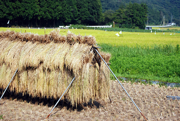유토이미지 | 36926-0000134