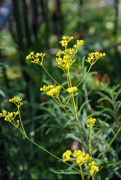 유토이미지 | 36926-0000290