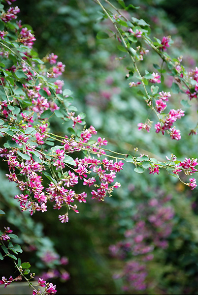 유토이미지 | 36926-0000315