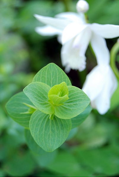 유토이미지 | 36926-0000415